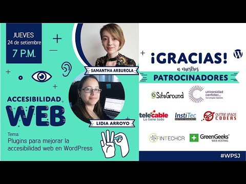Mejora la accesibilidad web con plugins de WordPress - Mantenimiento Web
